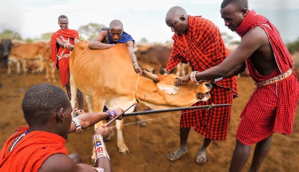 10 Bizarre Rituals From All Around The World - WhatDeWhat